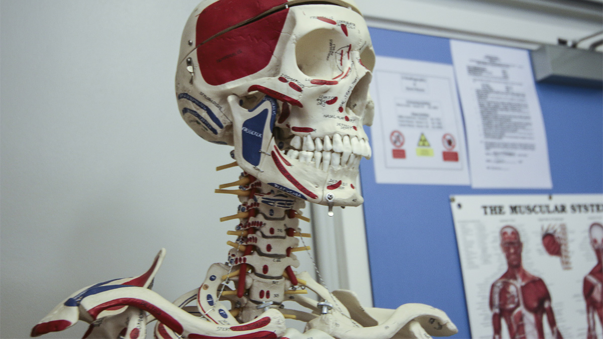 Master's study - Department of Archaeology, University of Reading